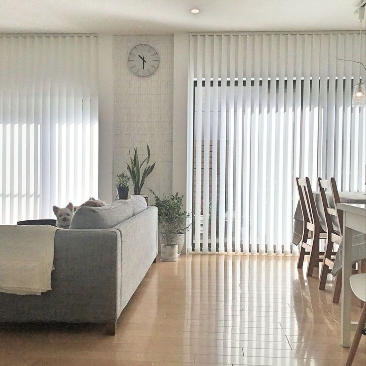 Versatile Vertical Blinds